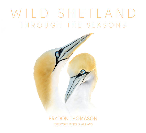 Shetland Nature – Wildlife, Birding & Photography Holidays in the ...