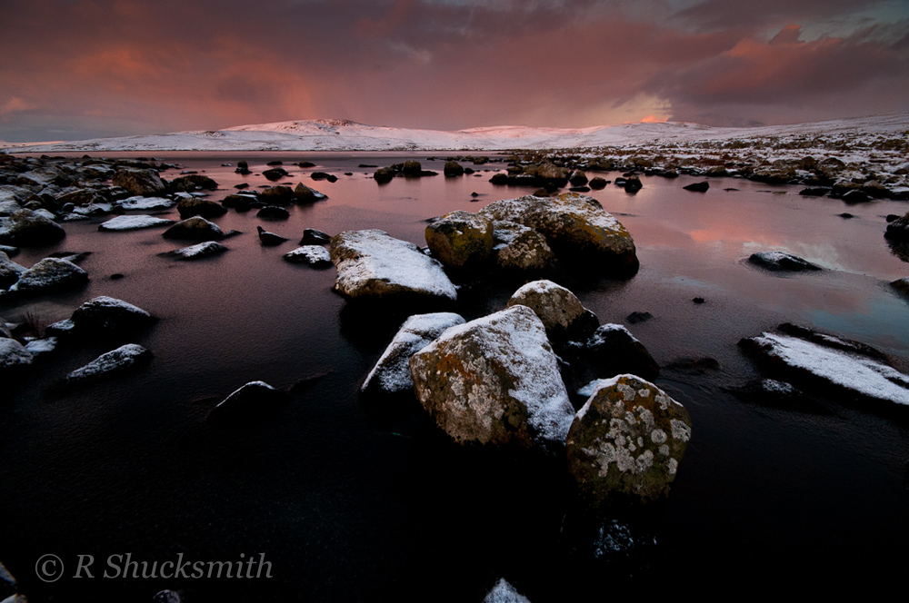 Shetland in Winter – Shetland Nature