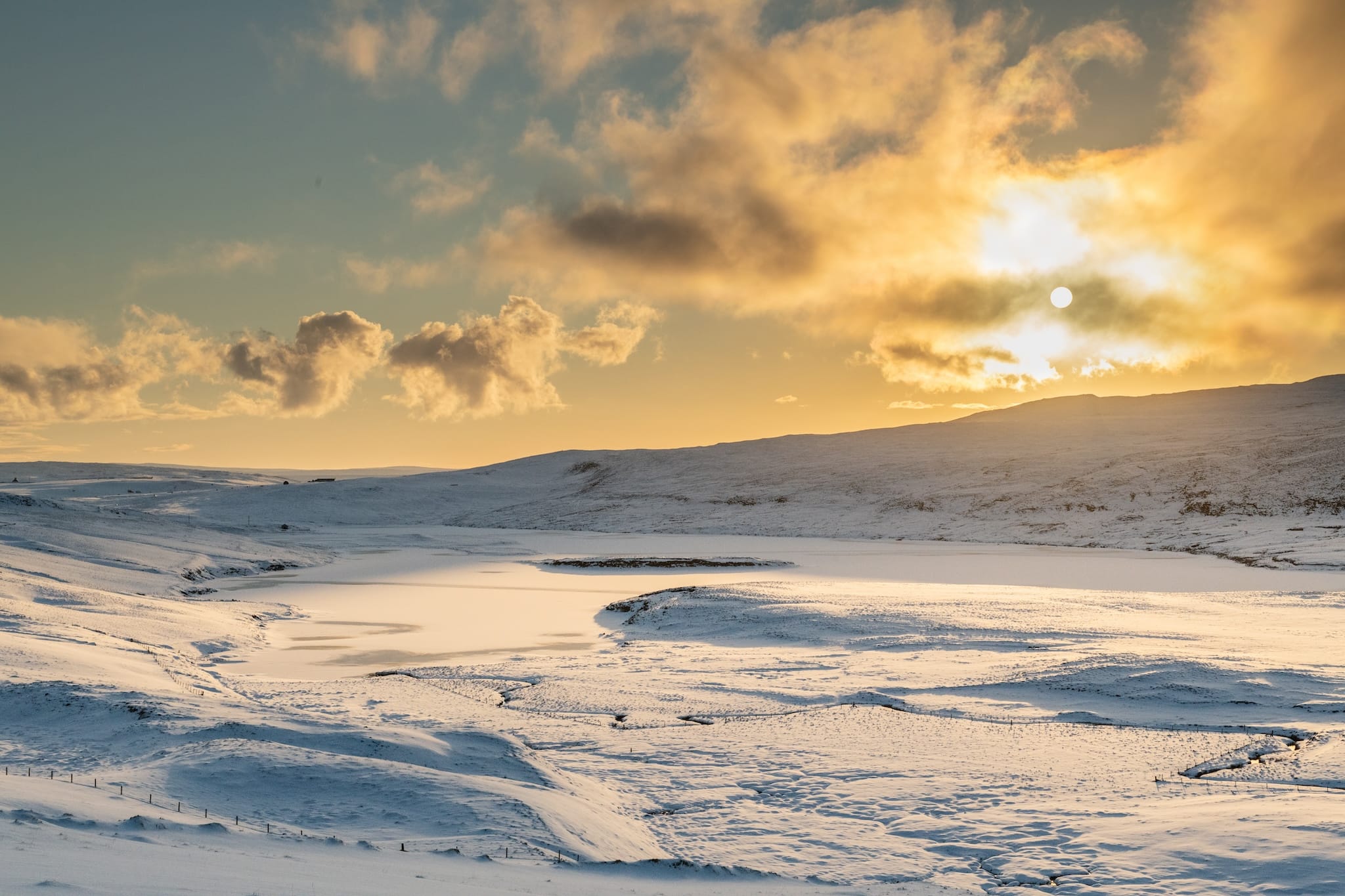 Shetland Winter Wildlife Photography – Shetland Nature